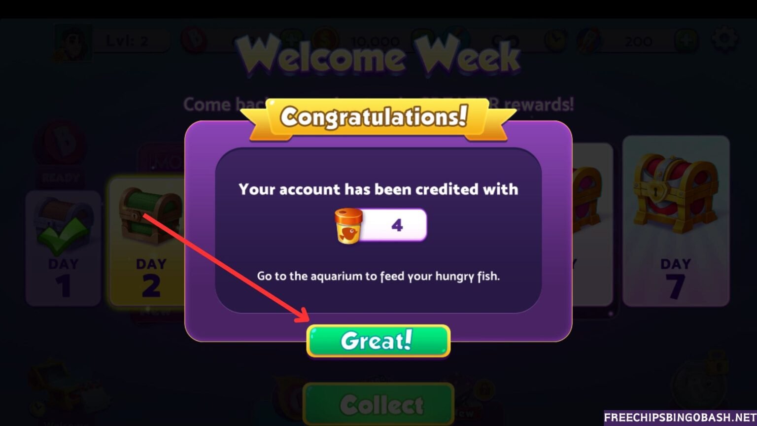 Bingo Bash Free Chips and Freebies [June 2026]